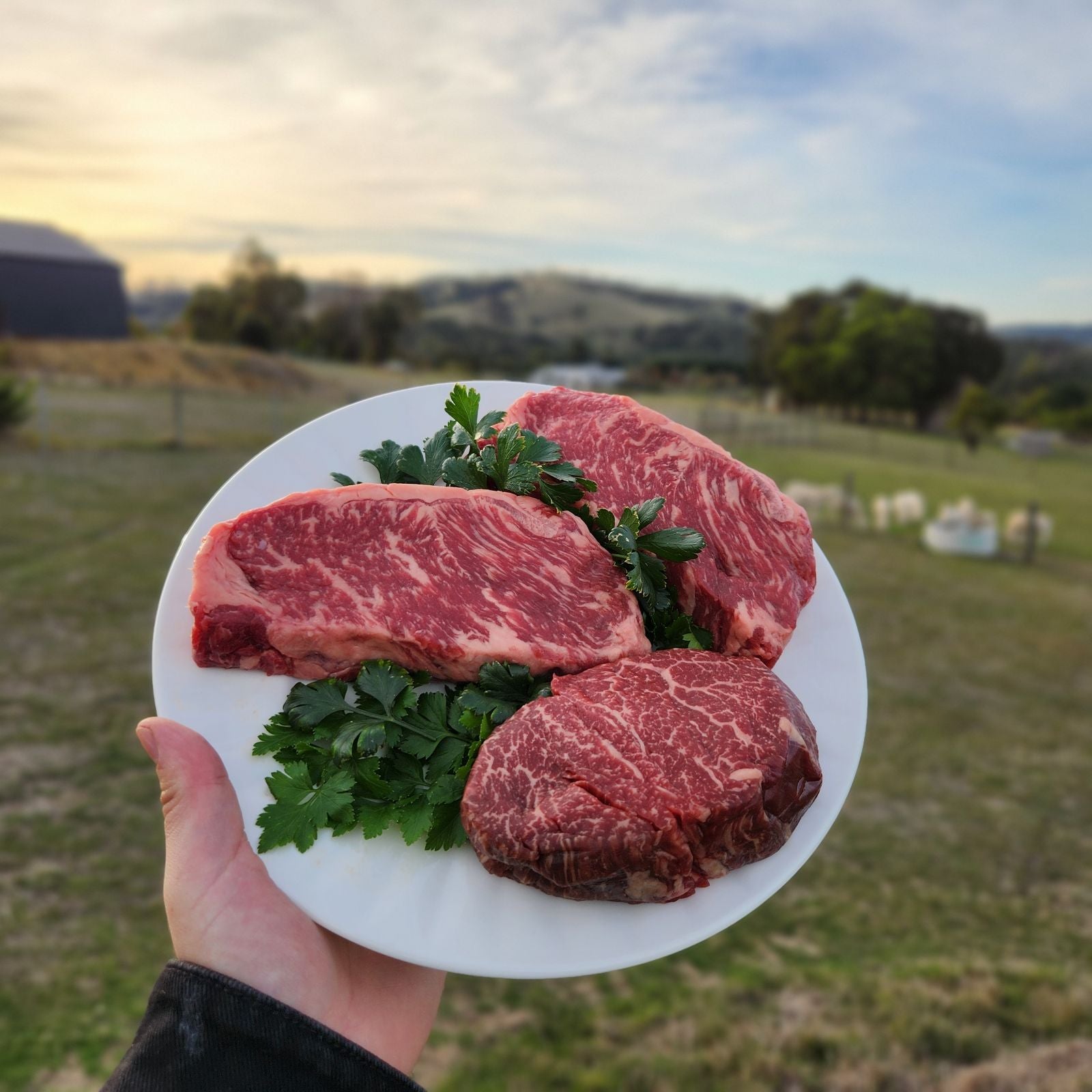 The Best Cuts Of Beef For Casseroles – Cannings Butchers